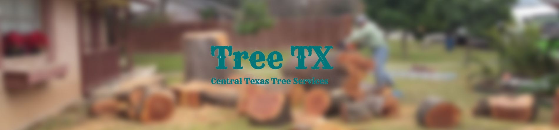 Tree TX is a Tree Care Company in Austin, TX